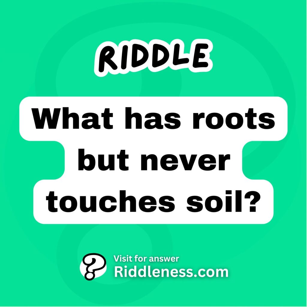 What has roots but never touches soil? - Riddleness