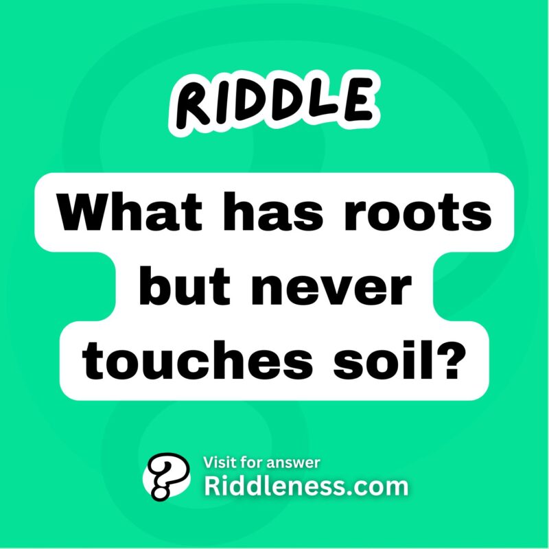 100+ Chair Riddles With Answers - Riddleness