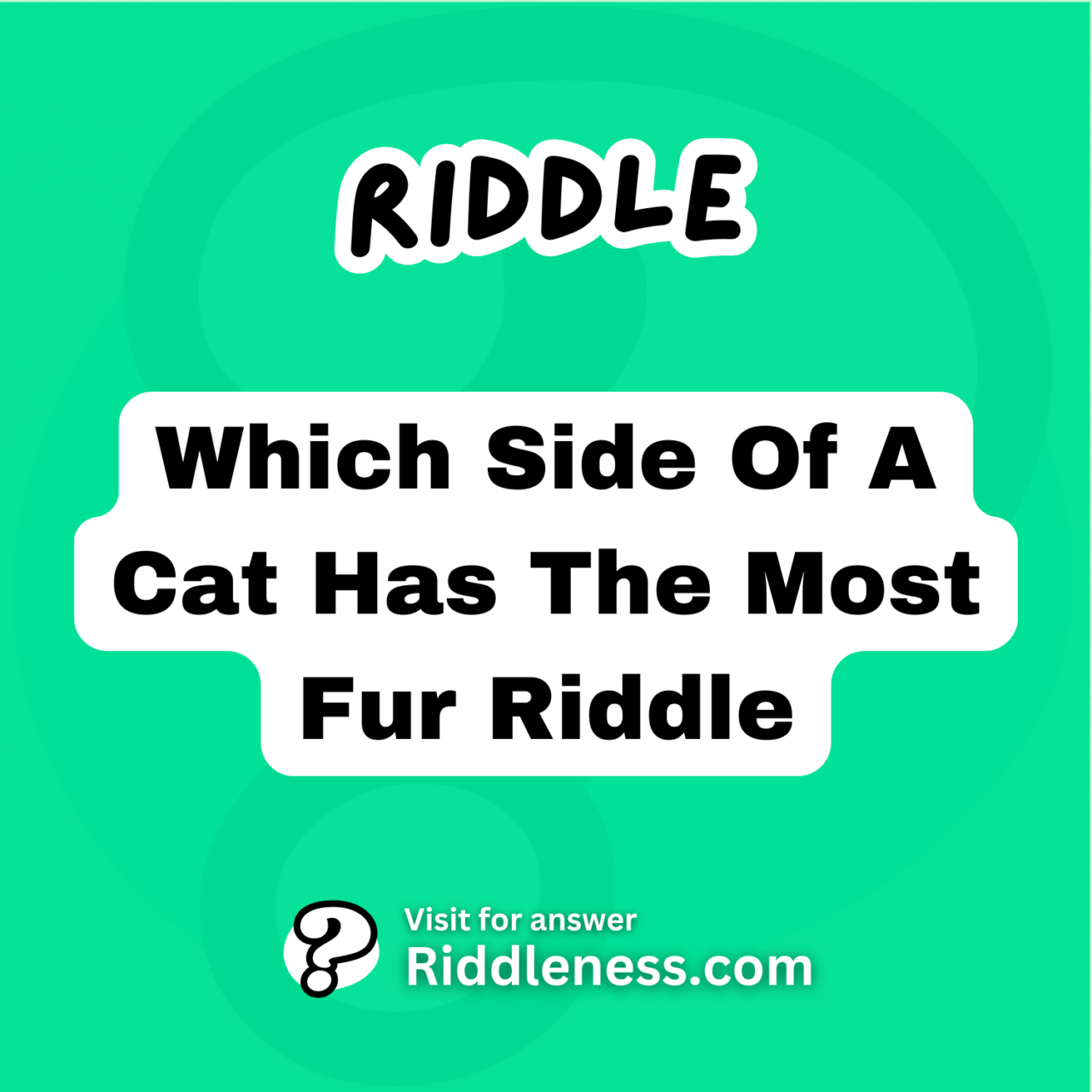 Which Side Of A Cat Has The Most Fur - Riddle with Answer - Riddleness